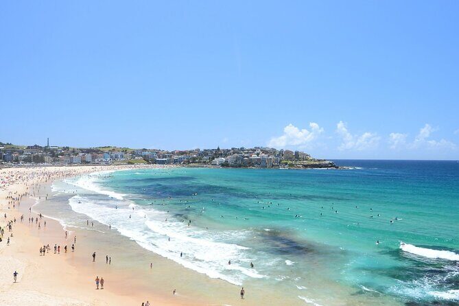 Private Half Day Sydney Tour by Vehicle & Boat - Sights & Sea - Authentic Insights from Past Guest Feedback