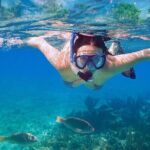 Private Half Day Tour in Cenote Cave and Swimming with Turtles - Authentic Experiences & Guide Insights