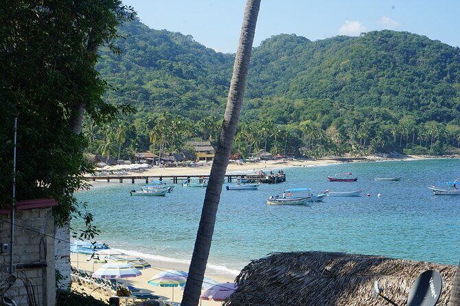 Private Half-Day Tour with Snorkeling at Animas Beach - Why This Tour Is a Fantastic Choice