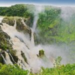 Private Half Day Tour: World Heritage Rainforest & Waterfall - The Itinerary: What to Expect on This Rainforest Adventure