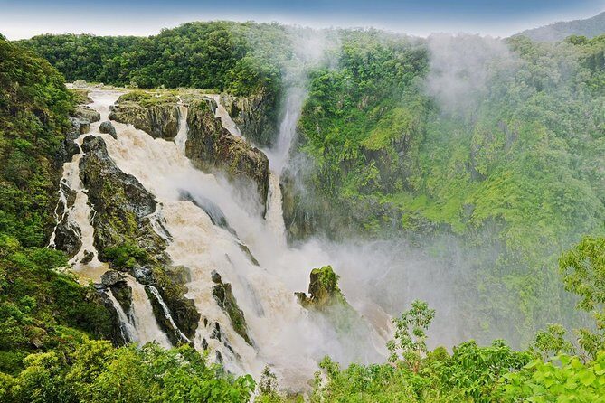 Private Half Day Tour: World Heritage Rainforest & Waterfall - The Itinerary: What to Expect on This Rainforest Adventure