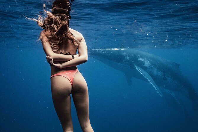 Private Half Day Whale Watching Tour - Practical Details and What You Should Know