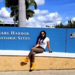 Private Hawaii Pearl Harbor Tours and North Shore (up to 12 people ) - Who Should Consider This Tour?