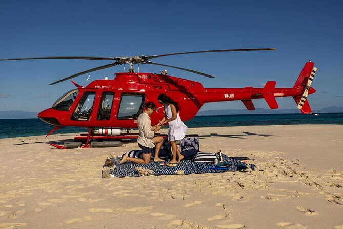 Private Helicopter Tour: Reef Island Snorkeling and Gourmet Picnic Lunch - Who Should Consider This Tour?