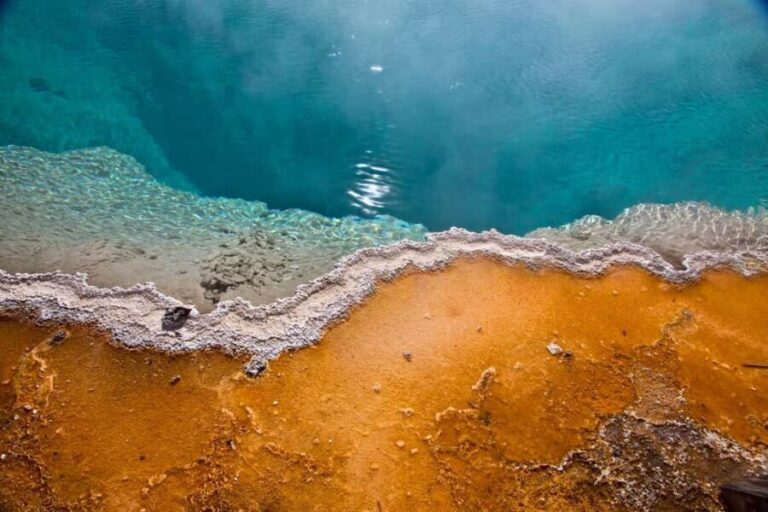 Private Highlight's Tour of Yellowstone National Park - Why This Tour Stands Out