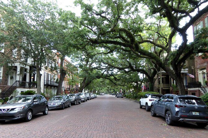 Private Historic Savannah Driving Tour - The Experience from a Travelers Perspective