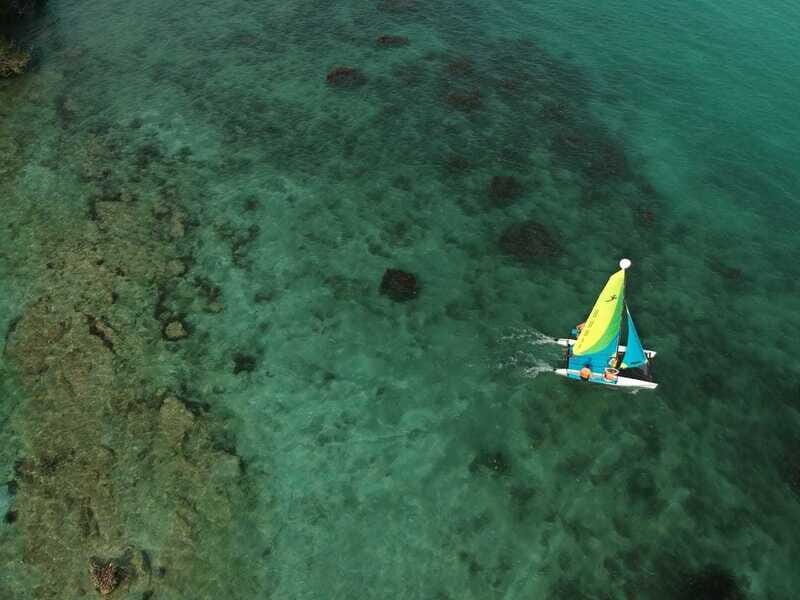 Private Hobie Cat Sailing Tour - The Experience in Detail: What to Expect