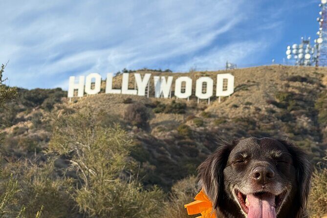 Private Hollywood Sign Hiking Tour with Select Hotel Pickup - The Itinerary in Detail
