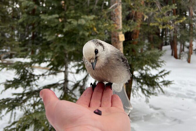 Private Hot Chocolate Hike in the Rockies - The Itinerary in Detail