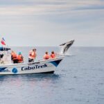 Private Humpback Whale Watching in Cabo San Lucas - Final Thoughts on the Cabo Whale Watching Experience