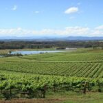 Private Hunter Valley Wine-Tasting Day Tour from Sydney - Practical Considerations