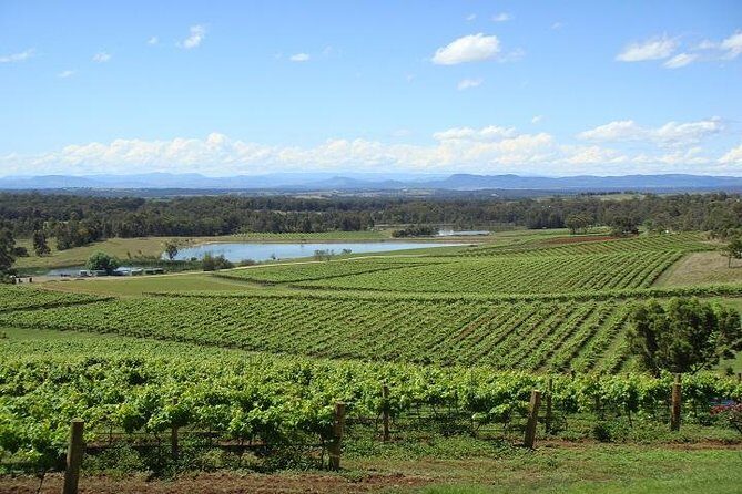Private Hunter Valley Wine-Tasting Day Tour from Sydney - Practical Considerations