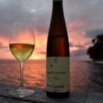 Private - Introduction to wine - Bora Bora Wine Tastings - Final Words: Who Will Love This?