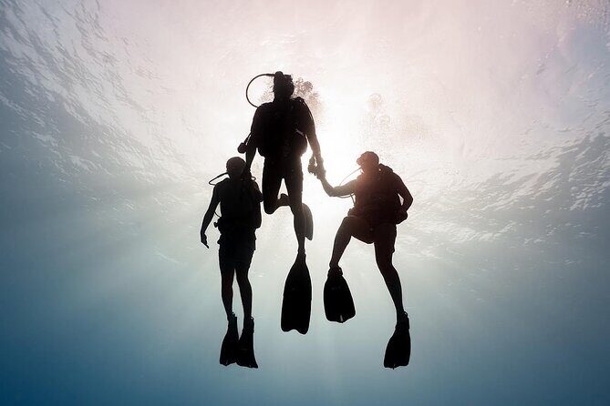 PRIVATE Introductory Discover Scuba Diving For Beginners - What to Expect on the Day