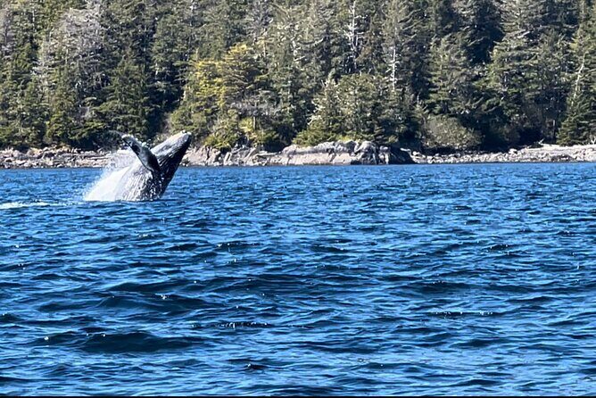 Private Island Experience in Sitka - What Makes This Tour Special?