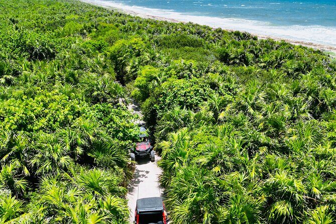 Private Jeep & Polaris RZR: San Gervasio Mayan Ruins & Snorkeling - Savoring Mayan Flavors: Chocolate & Tequila Tasting