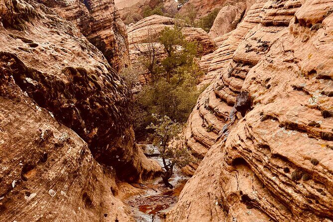 Private Jeep Ride to Explore Slot Canyons and Rock Formations - The Itinerary: What to Expect on Your Journey