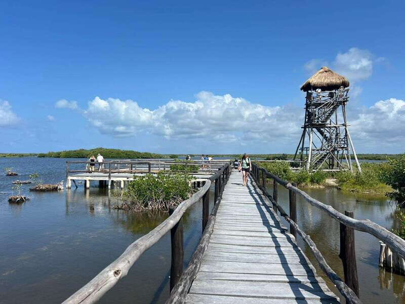 Private Jeep tour to Punta Sur park + snorkel + Lunch - The Value Proposition