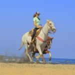 Private Jungle Horseback Adventure - Whats Included and How It Enhances the Experience
