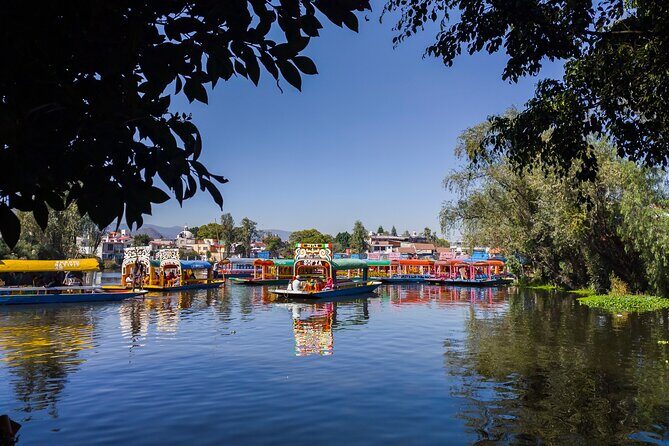 Private kayaks tour in Xochimilco & Cuicuilco pyramid - The Experience Breakdown: What to Expect