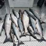 Private Ketchikan Wild Alaskan Salmon Fishing Trip - Why Travelers Love This Experience