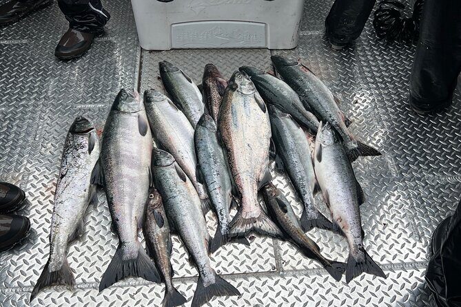 Private Ketchikan Wild Alaskan Salmon Fishing Trip - Why Travelers Love This Experience