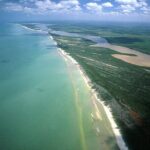 Private Las Coloradas and Ria Lagartos Tour - Discovering Río Lagartos: A Wildlife Sanctuary
