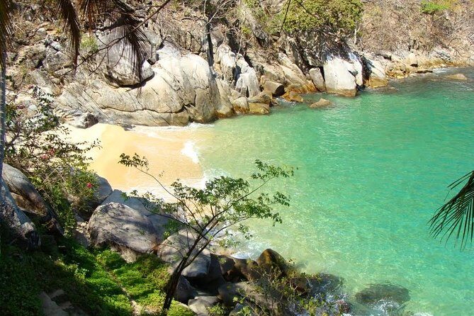 Private Los Arcos Snorkel and Beach Tour from Puerto Vallarta - Potential Drawbacks and Considerations
