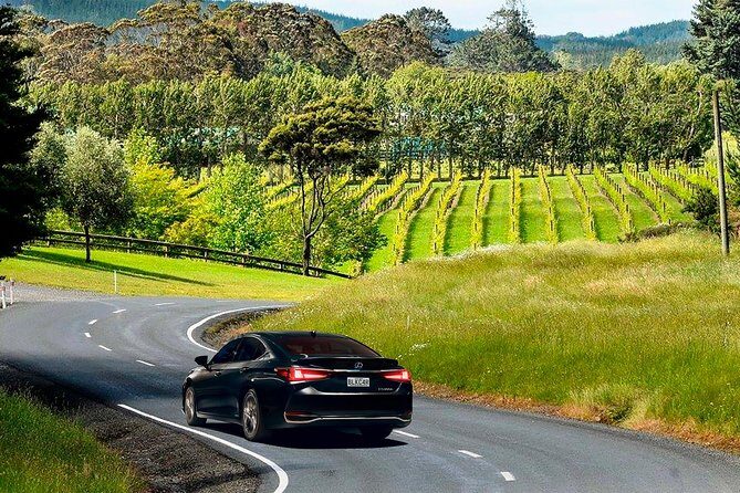 Private Luxury Airport Transfers in Auckland  Sedans & Vans - What to Expect During Your Transfer