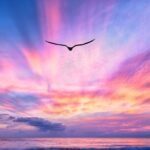 Private Luxury Sunset Cruise in Waikiki - Who Should Book This Experience?