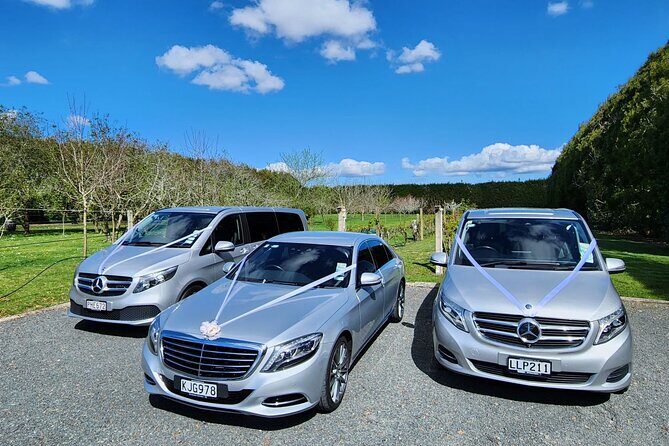 Private Luxury Transfers from Auckland Airport TO Auckland Hotels - Who Should Consider This Transfer?