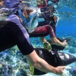 Private Marine Wildlife Adventure with Underwater Photography - Why This Tour Works Well