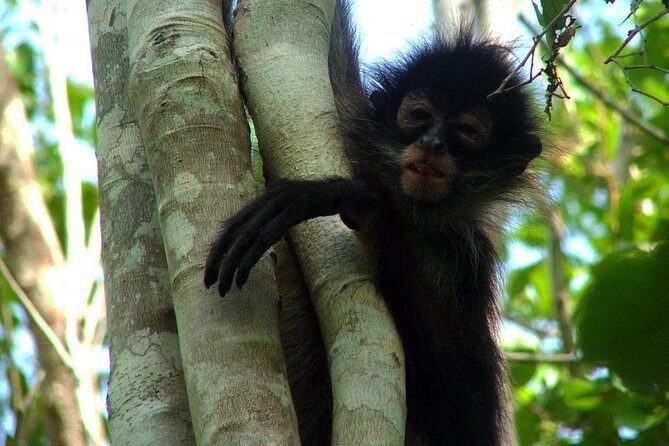 Private - Mayan Inland Expedition - Coba Ruins, Punta Laguna and Mayan family - Final Words