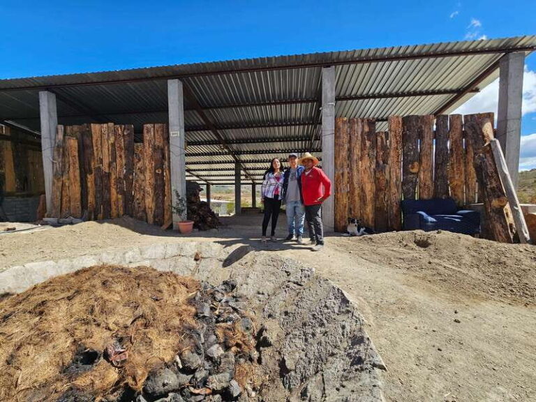 Private Mitla, Hierve el agua and Mezcal Tour with Lunch - Practical Details and What to Expect