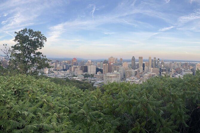 Private Montreal Car Tour with History and Hidden Gems - The Experience from a Traveler’s Perspective