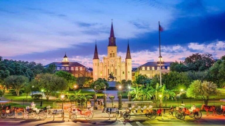 Private New Orleans Panoramic: With Drink and Souvenir - The Transportation and Group Size