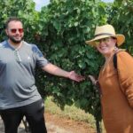 Private Niagara Wine Tour with Cheese and Charcuterie - Detailed Breakdown of the Itinerary