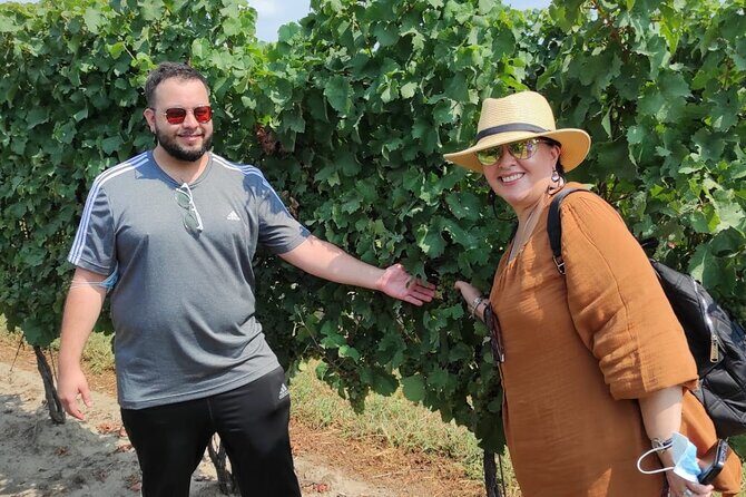 Private Niagara Wine Tour with Cheese and Charcuterie - Detailed Breakdown of the Itinerary