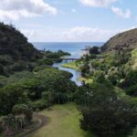Private North Shore Oahu Tour ft. Waimea Falls-Customizable - A Closer Look at the Tour Experience