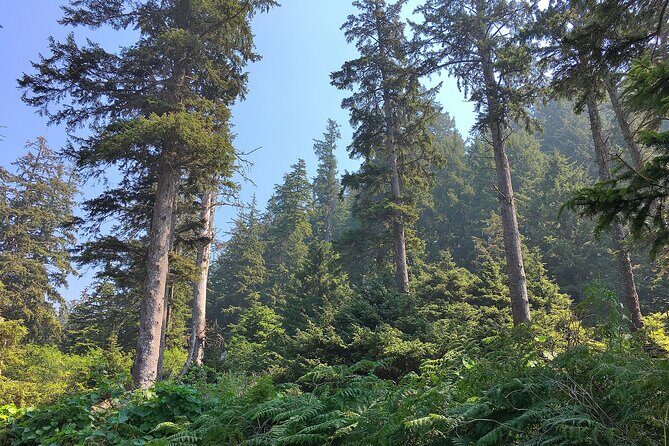 Private Northern Oregon Coast Tour - Why the Scenic Stops Matter