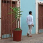 Private Oaxaca Walking Tour with Mezcal Tasting - The Experience: What to Expect from the Tour