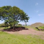 Private One Day Tour in Los Guachimontones and José Cuervo Tequila - Practical Details: Transport, Timing, and Value