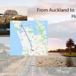 Private One-Way Transfer: Auckland CBD Hotel to Auckland Airport - Detailed Breakdown of the Experience