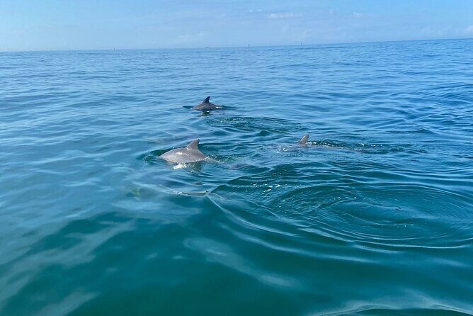 Private Panama City Beach Sunset Tour - Who Is This Tour Best Suited For?