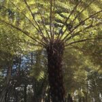 Private Personalised Tour in Waiheke Island - FAQ