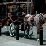 Private Photo Session in the City of Guadalajara - Authentic Experiences and Insights from Reviews