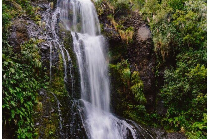 Private Piha Beach, Rainforest Adventure & Mt. Eden with Guide - Who Is This Tour Best For?