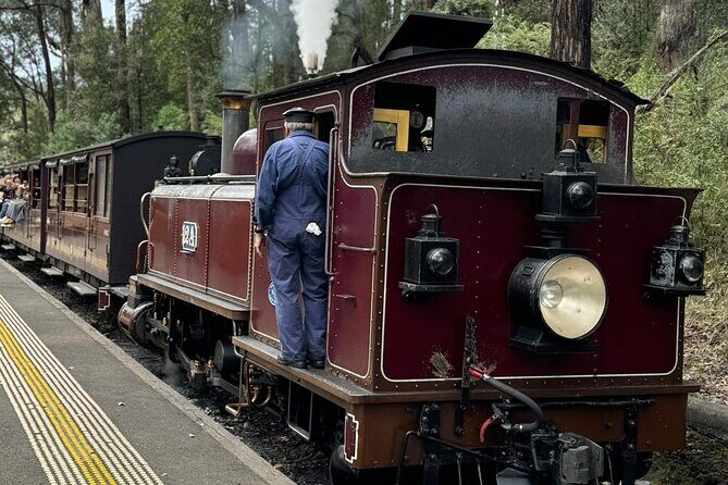 Private Puffing Billy Steam Train and Healesville Sanctuary Tours - Practical Details and Value