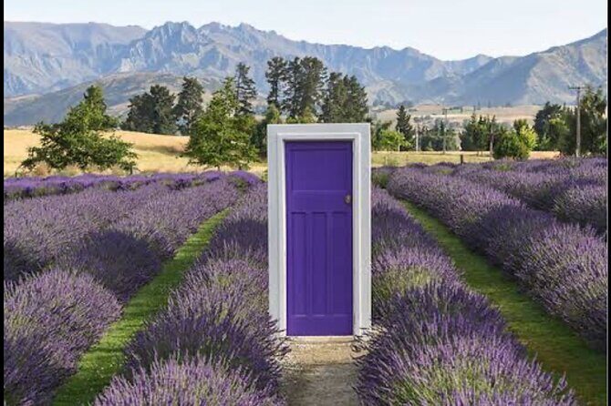 Private Queenstown and Wanaka City Day Tour - Final Thoughts: Is This Tour for You?