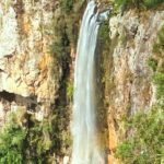 Private Rainforest & Wildlife Tour - Build Your Own Experience - Who Is This Tour Best For?